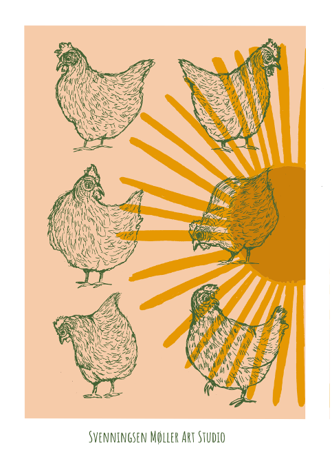 Sol høns - Plakater Dyr - MsM Art