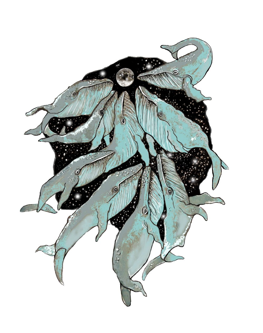 Whale Navigation - Plakater Dyr - MsM Art